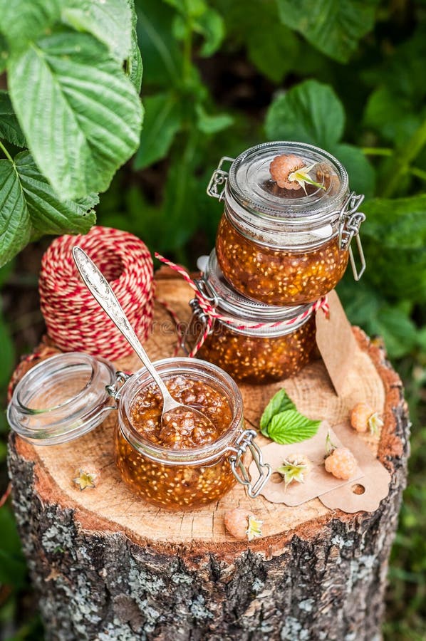 Golden Raspberry Jam stock photo. Image of juicy, bush - 122670082