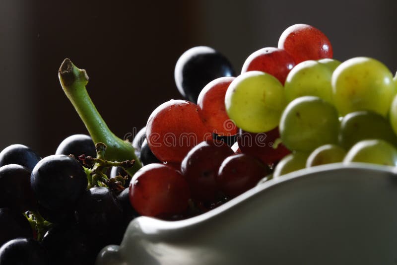 Three grape varieties stock photo. Image of varietes, fruits - 3088294