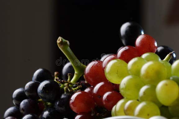 Three grape varieties stock photo. Image of juicy, healthy - 3088314