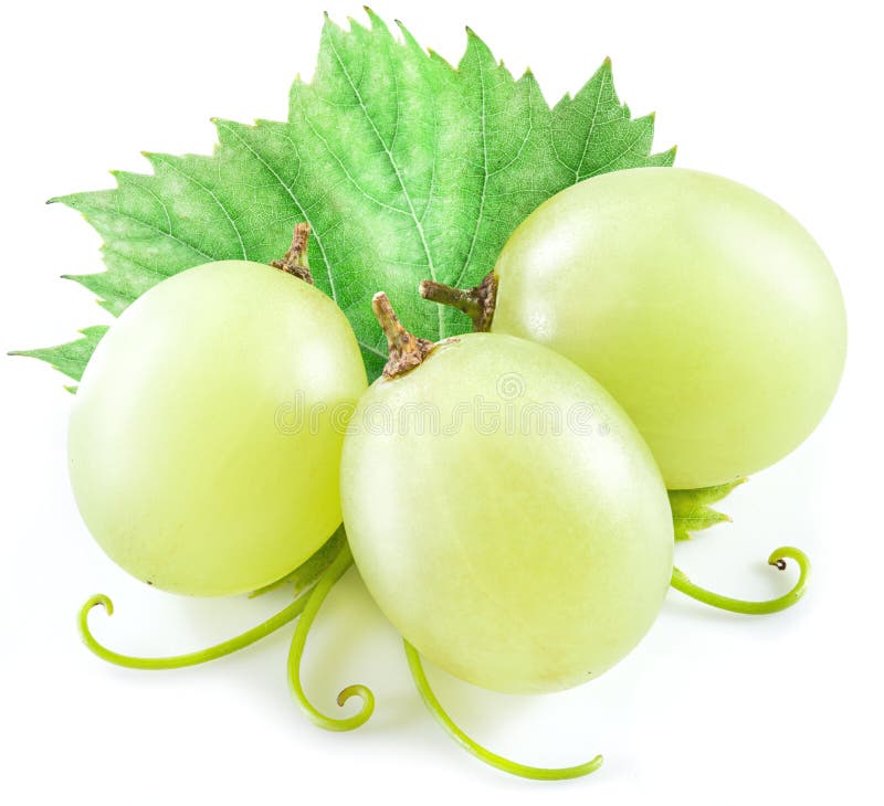 Three grapes with leaves stock image. Image of farm, blue - 7467011