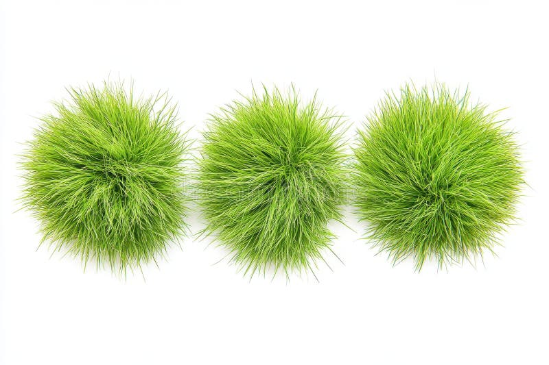 Three Green Fluffy Isolated on White Background Stock Illustration ...