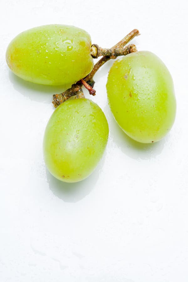 Three green grapes stock photo. Image of plants, snack - 48230502