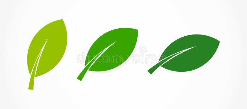 Three green leaves icons stock vector. Illustration of simple - 242033749