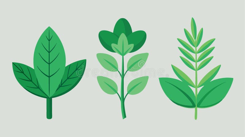 Three Green Leaves are Shown in a Row Stock Illustration - Illustration ...