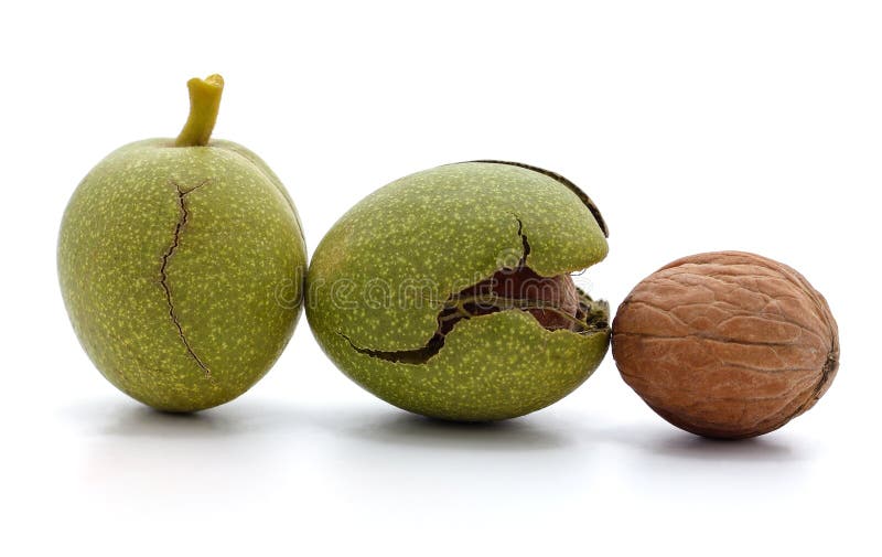 Three green nuts stock image. Image of closeup, snack - 160125595