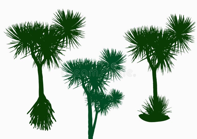 Pandanus Trees Stock Illustrations – 18 Pandanus Trees Stock ...