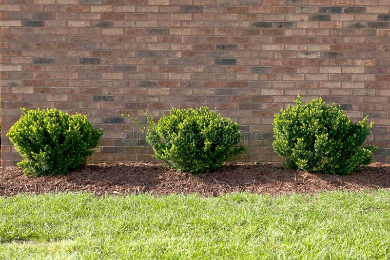 1,695 Shrubs Line Stock Photos - Free & Royalty-Free Stock Photos from ...
