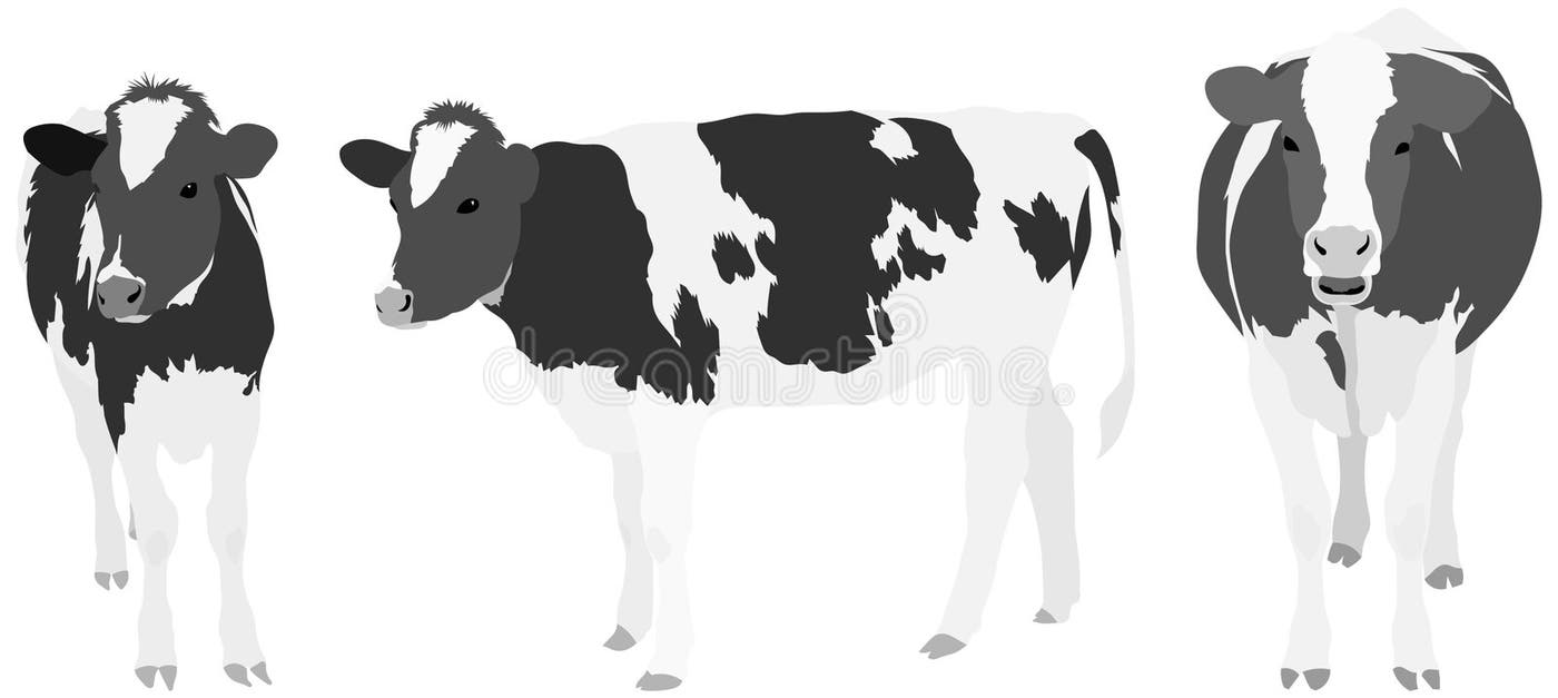 Cattle Greyscale Stock Illustrations – 13 Cattle Greyscale Stock ...