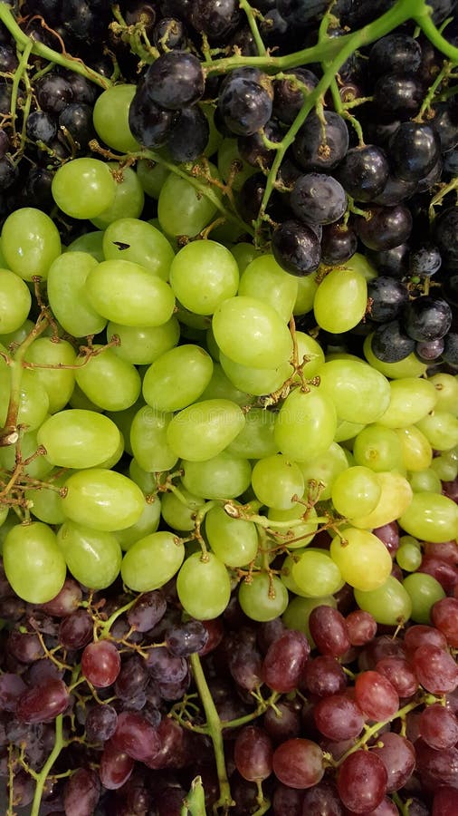 Three types of grapes stock image. Image of blue, green - 21150019