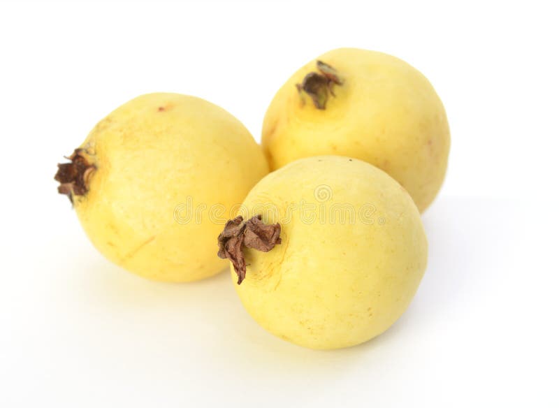 Anphotos - Photographer profile