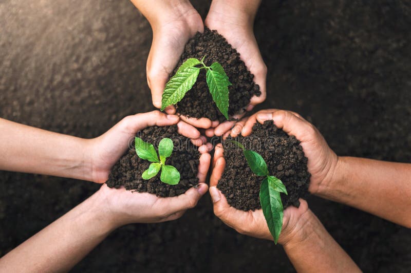 Three Hand Protection and Caring Small Tree on Soil. Eco Environment ...