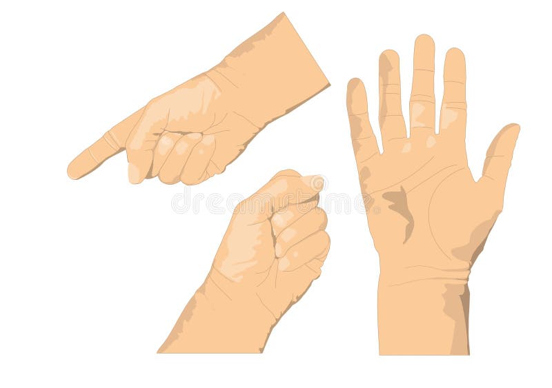 Hands Different Positions Stock Illustrations – 663 Hands Different ...