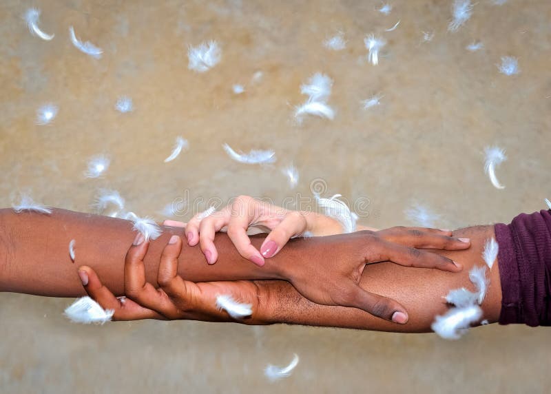 Three Hands Covered by Feathers. Stock Photo - Image of food, covered ...