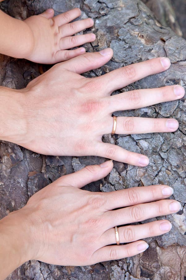 Three hands of the family stock photo. Image of human - 26929058