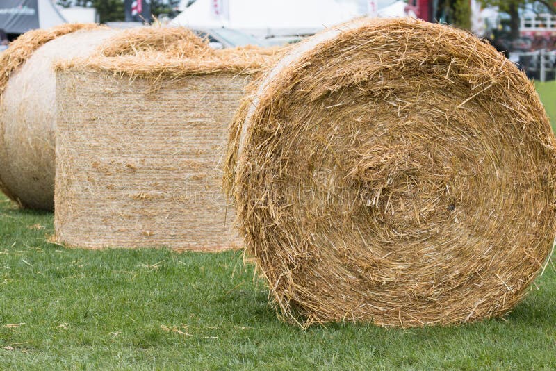Three Hay Bales on the Grass Stock Image - Image of bale, horticulture ...