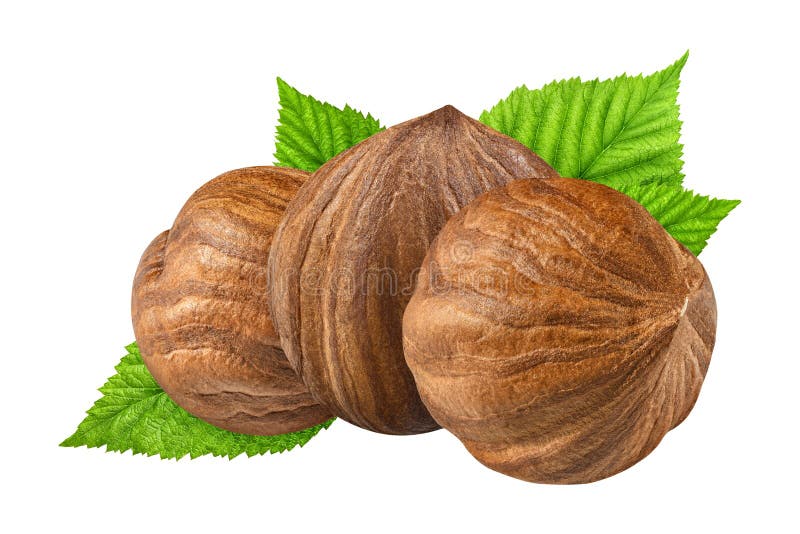 Group 3 Elements Stock Photos - Free & Royalty-Free Stock Photos from ...