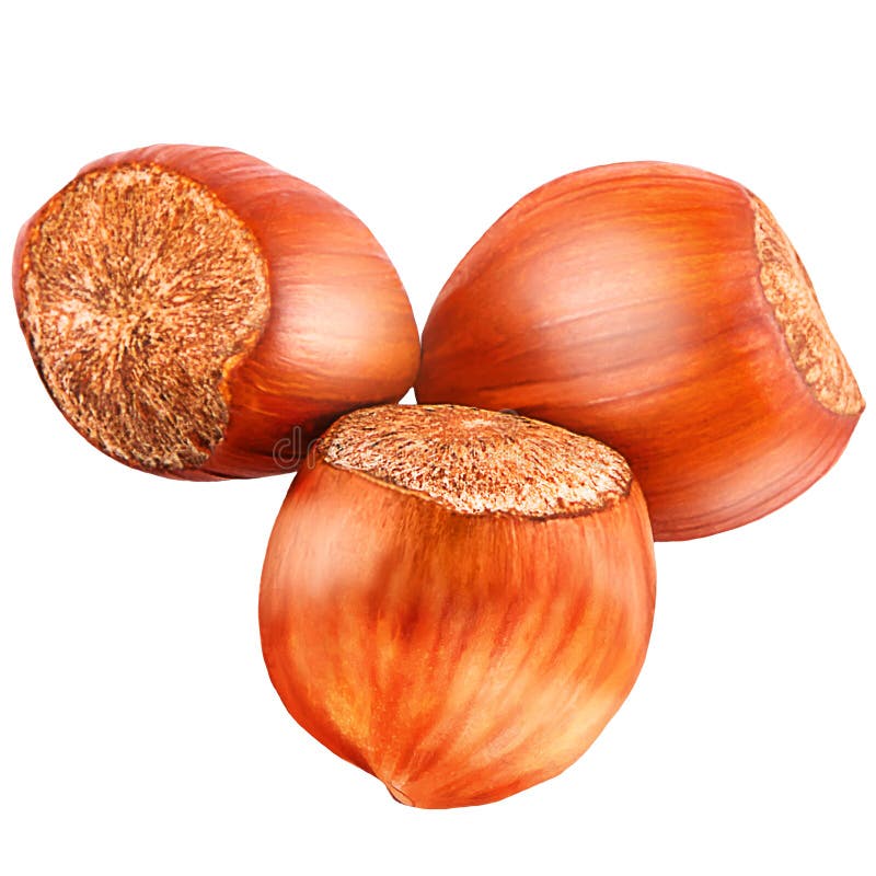 1,385 Hazelnut Husk Photos - Free & Royalty-Free Stock Photos from ...