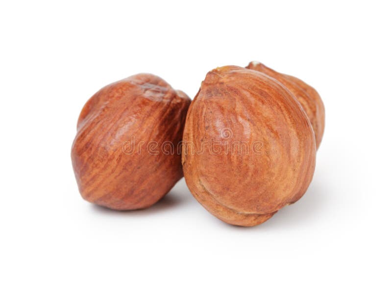 Three hazelnut kernels stock image. Image of healthy - 41150397