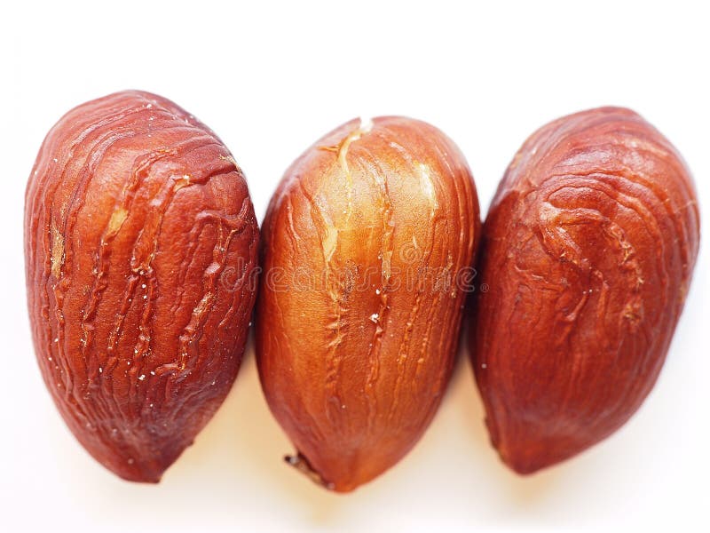Three hazelnut seeds stock photo. Image of closeup, group - 57208140