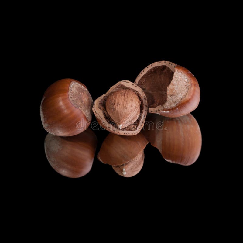 Three Hazelnuts, One Nut in Whole Shell and Two in in Cracked Shells ...
