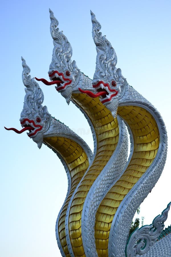 Three Head Payanak Stock Photos - Free & Royalty-Free Stock Photos from ...