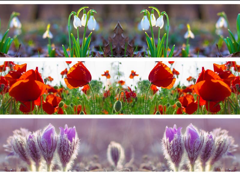 Three Header Site Springtime Stock Image - Image of design, pattern ...