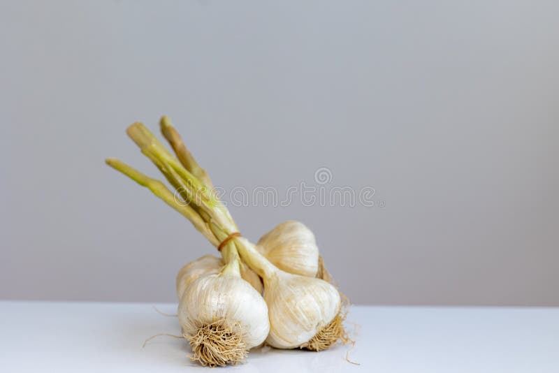 Three Heads of Garlic on a White Table Stock Image - Image of healthy ...