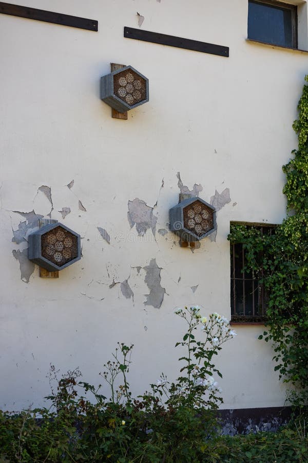 Three Hexagonal Insect Hotels Attached To a Rustic Wall with Peeling ...