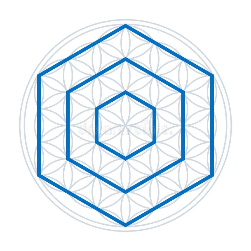 Three Hexagons in a Flower of Life, Sacred Geometry Stock Vector ...