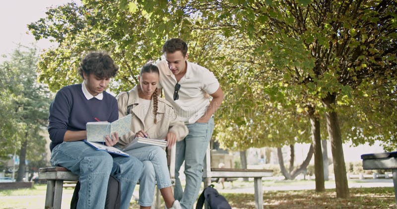 High School Friends Collaborate on Homework after Class in a Sunny Park ...
