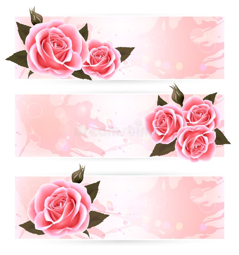 Three Holiday Banners with Pink Beautiful Roses. Stock Vector ...