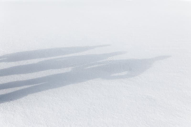 Three Human Shadows on the Snow Stock Image - Image of snowflakes, snow ...