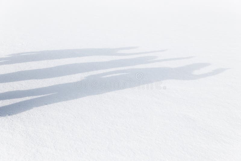 Three Human Shadows Waving on the Snow Stock Image - Image of shadows ...
