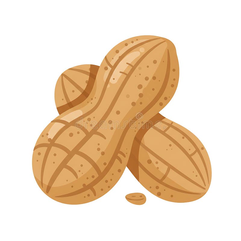 Three Illustrated Peanuts with Textured Brown Shells are Positioned in ...
