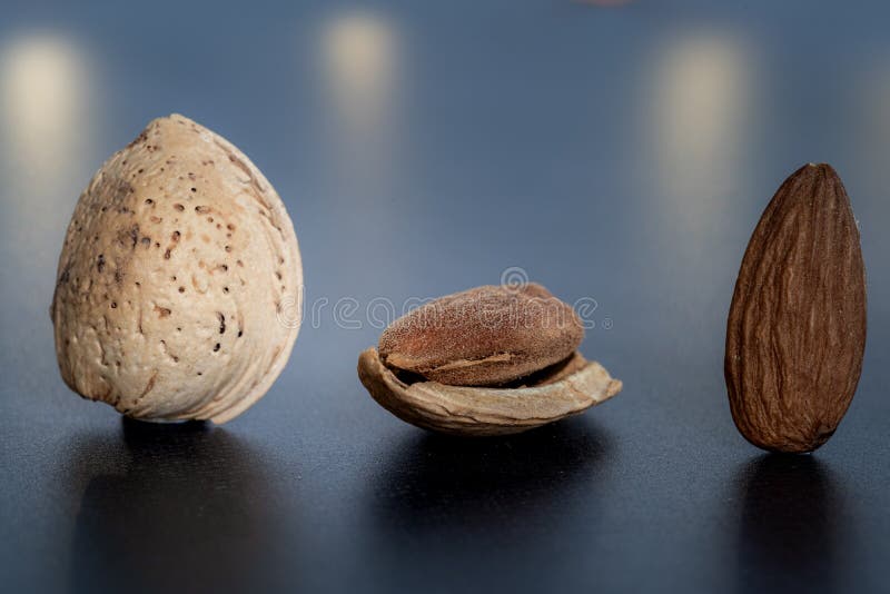 Three Isolated Almonds Standing Up on a Dark Table Stock Photo - Image ...