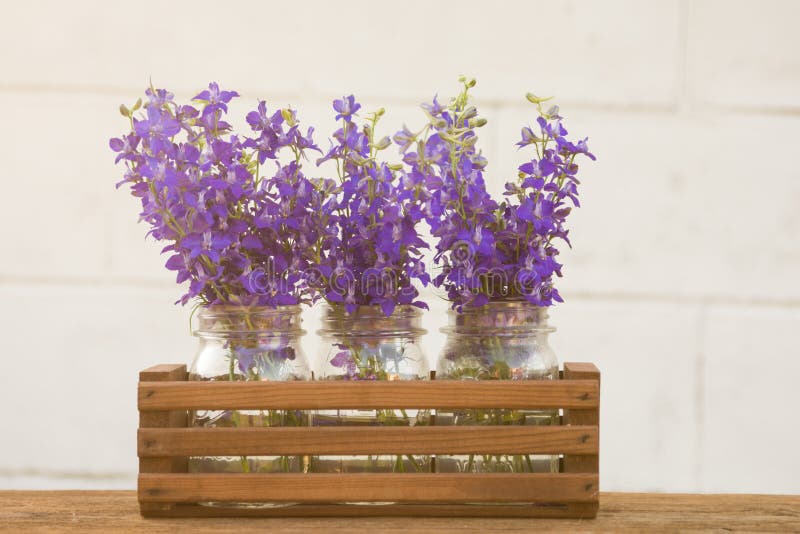 Three Jars of Purple Flowers with a White Background Stock Image ...