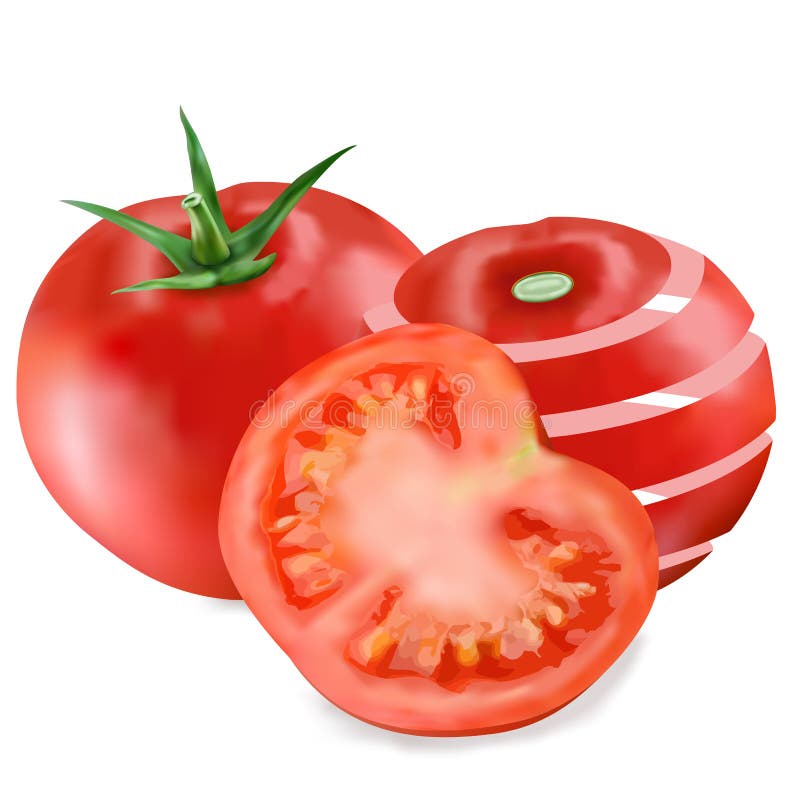 Three Juicy Ripe Red Tomato Half Stock Illustration - Illustration of ...