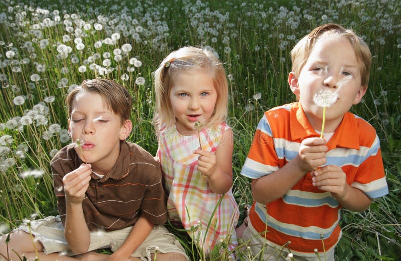 Three Kids stock photo. Image of relationship, brothers - 7646028