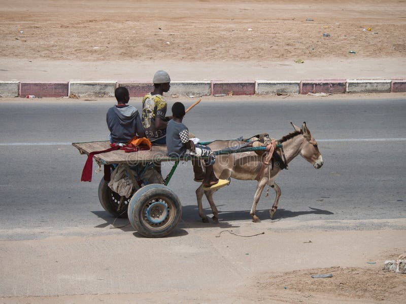 Donkey cart transport editorial stock image. Image of simple - 270678259