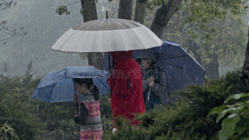 Kids in the Pouring Rain Having Fun Jumping with Umbrellas - Slow ...