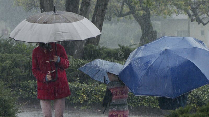 Kids in the Pouring Rain Having Fun Jumping with Umbrellas - Slow ...