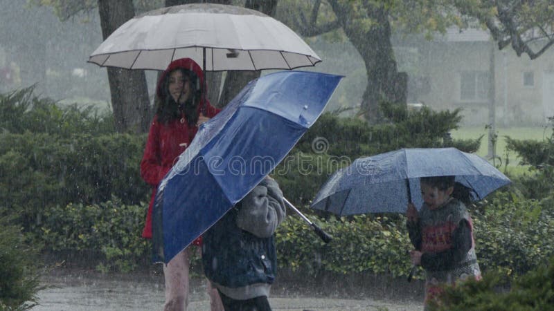 Kids in the Pouring Rain Having Fun Jumping with Umbrellas - Slow ...