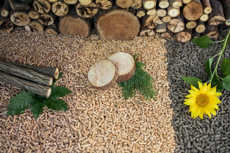 Three kind of pellets stock photo. Image of natural - 123765204