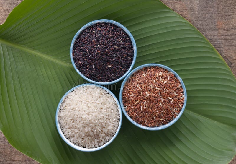 Three kind of rice stock image. Image of textured, rice - 19762573