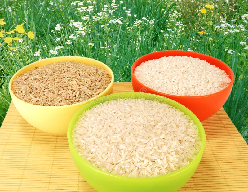 Three Kinds of Rice in Plates Stock Image - Image of corn, round: 22077891