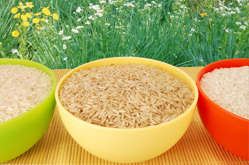 Three Kinds of Rice in Plates Stock Photo - Image of round, corn: 22077902