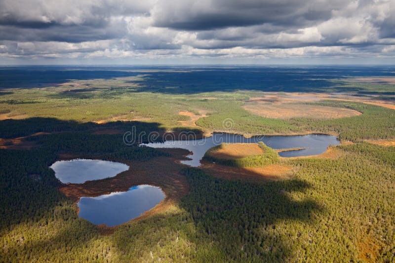 Three Lakes in the Wooded Spaces Stock Photo - Image of natural, lawn ...