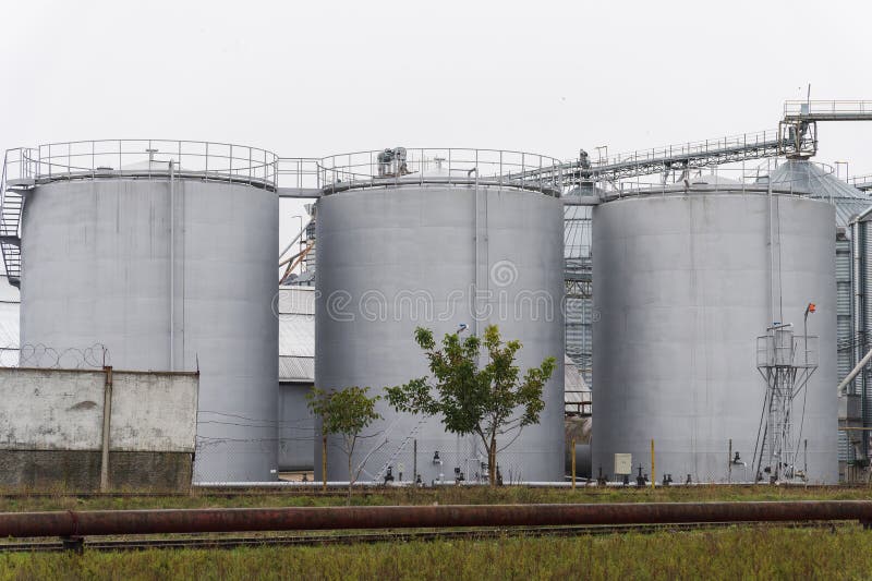 Three Large, Cylindrical Storage Tanks Stand Prominently at a Grain ...