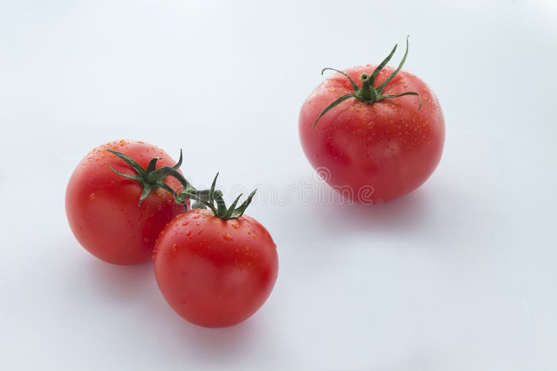 Three Large and One Small Tomato on a White Background Stock Image ...