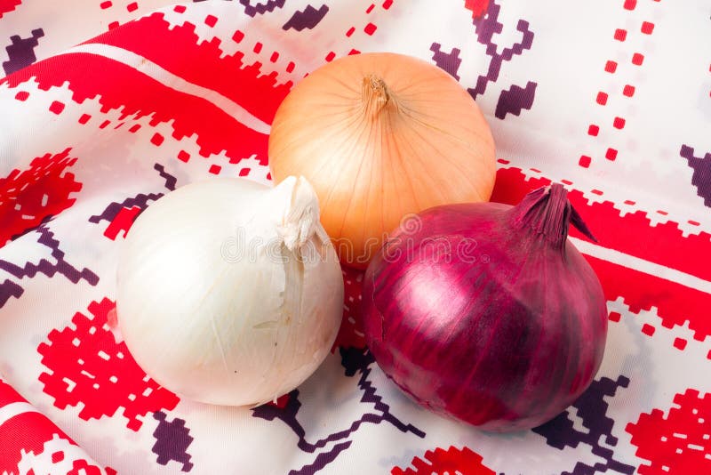One Large Red Onions Looking To Get Cut Stock Photo - Image of looking ...